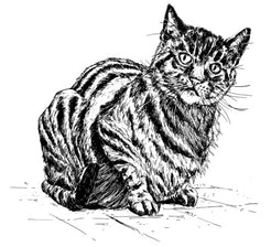 Drawing Animal Portraits in Pen and Ink – HuesAndTonesBooks