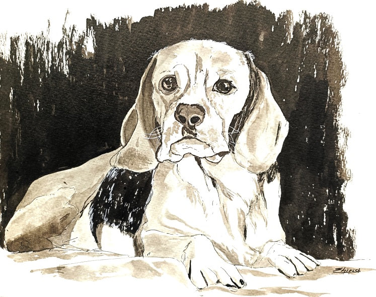Drawing Animal Portraits in Pen and Ink – HuesAndTonesBooks